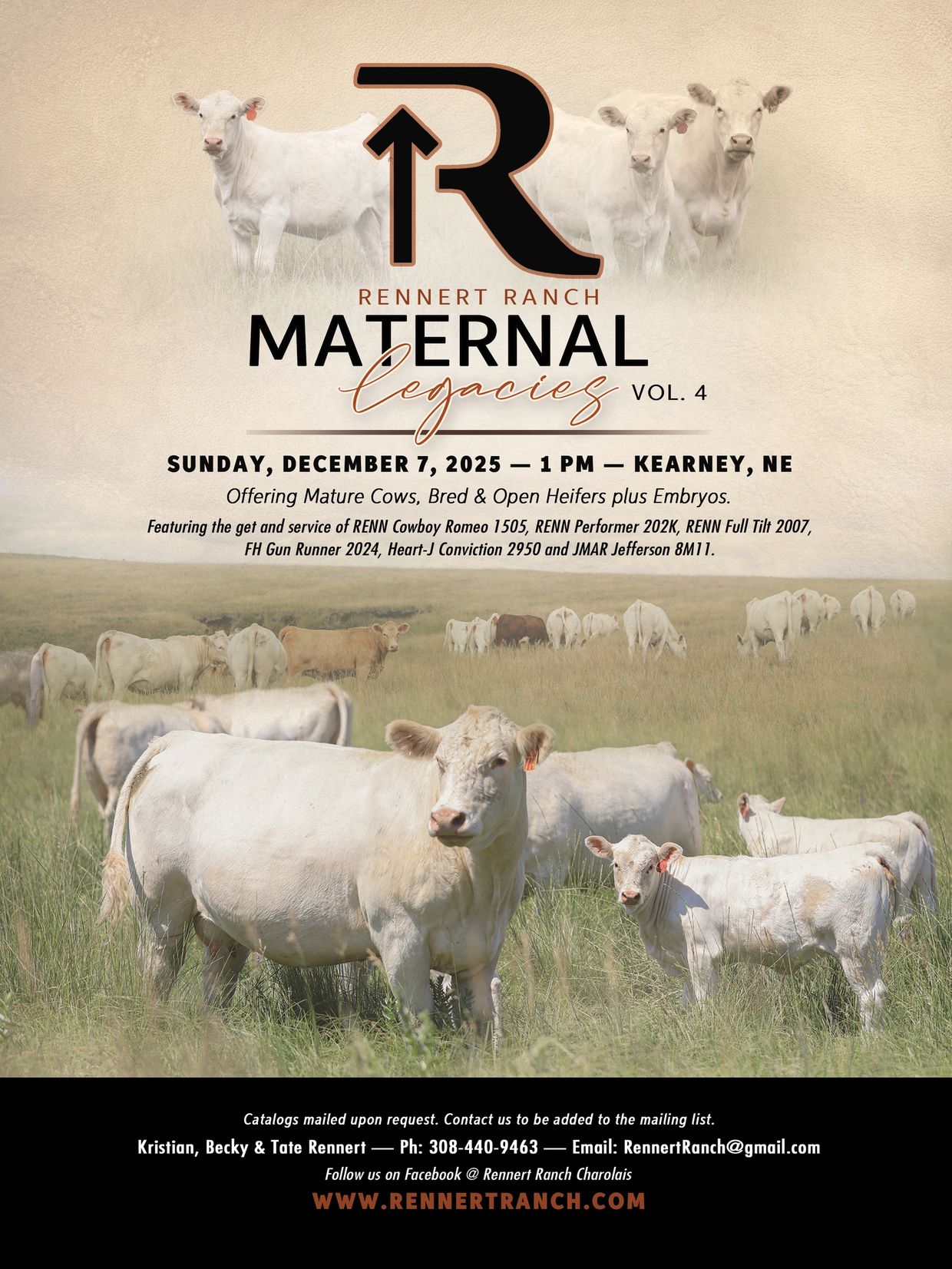 Rennert Ranch - Charolais Cattle, Charolais Bulls, Charolais Cattle for Sale, Charolais Cattle